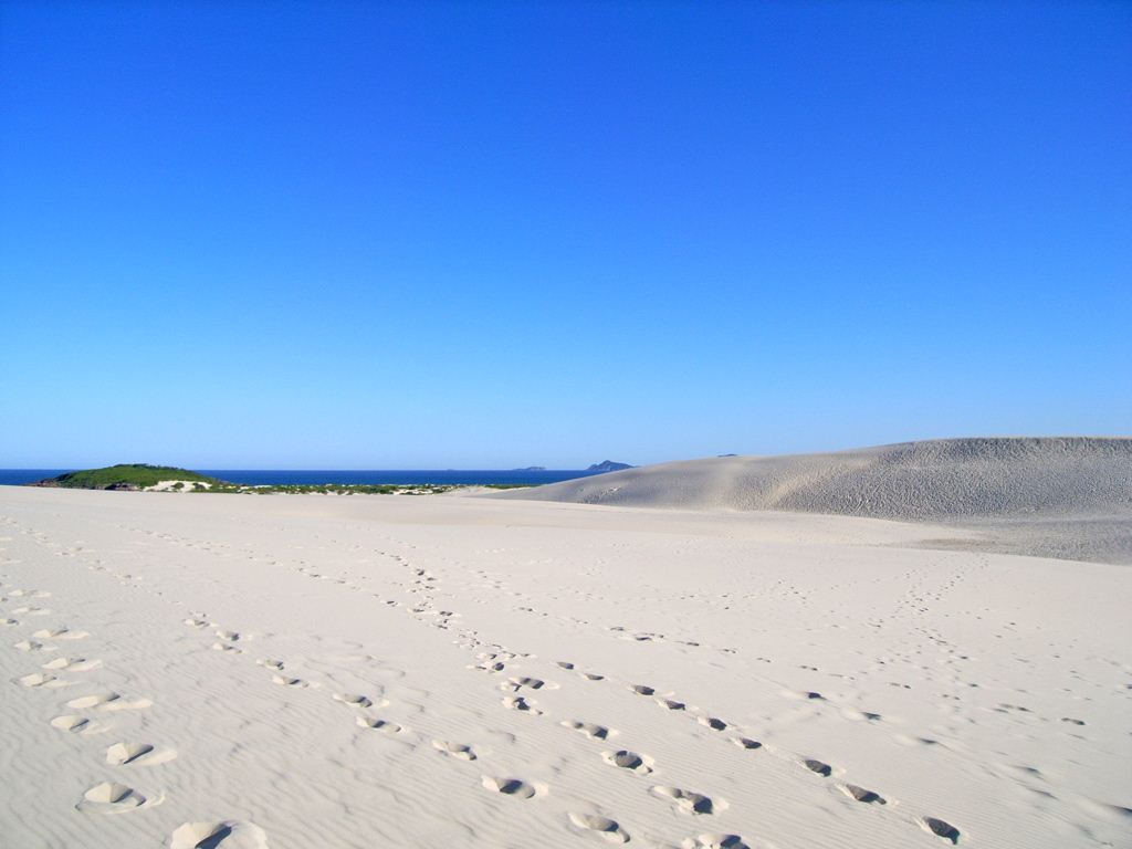 Locations Hub - Dark Point Dunes