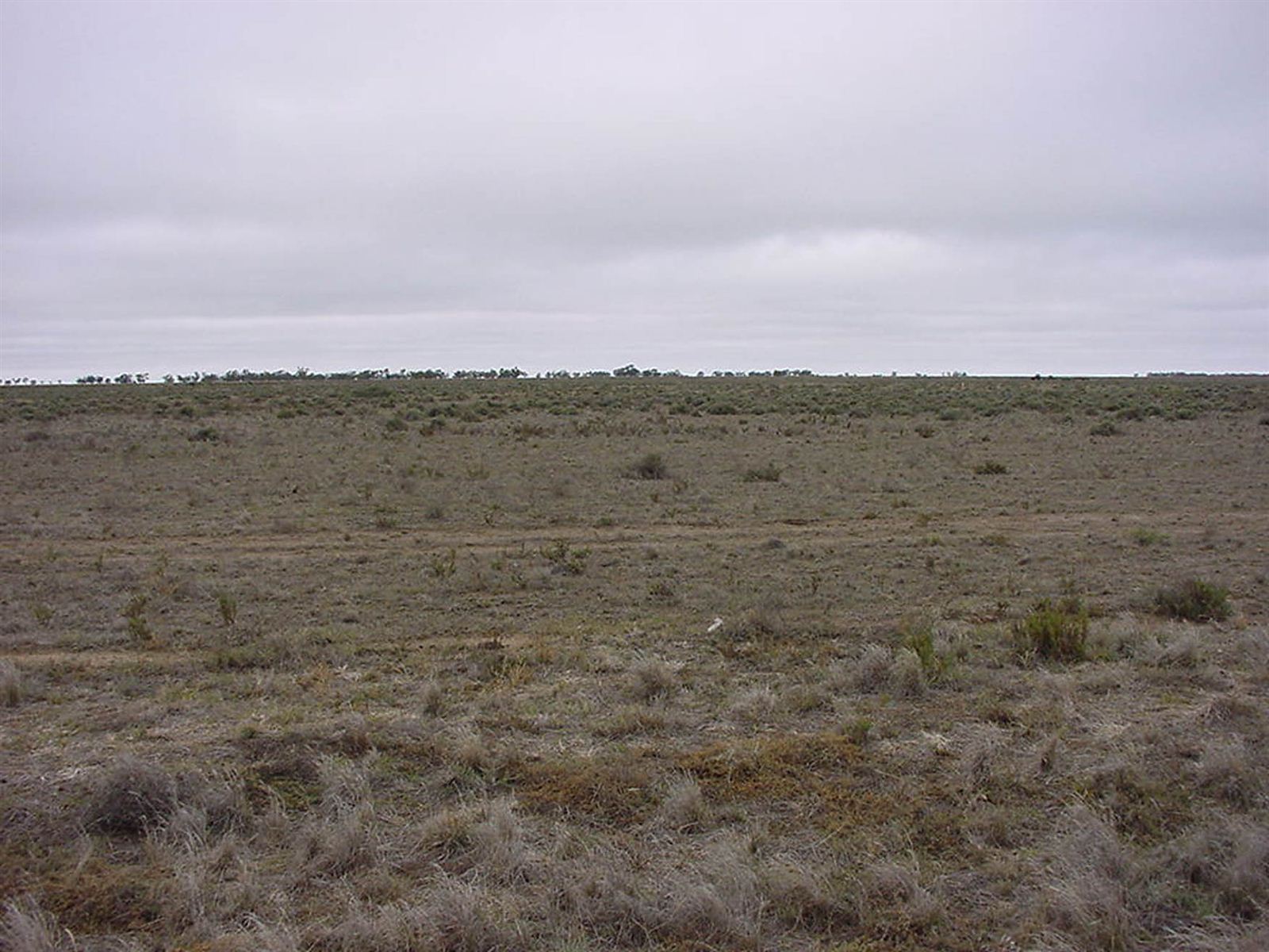 Locations Hub - Hay Plains