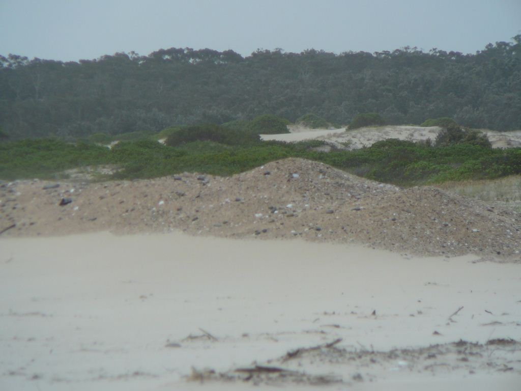 Locations Hub - Killick Beach & Sand Dunes - Hat Head National Park