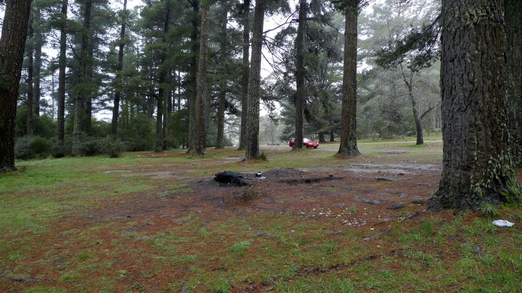 Locations Hub - Jenolan State Forest