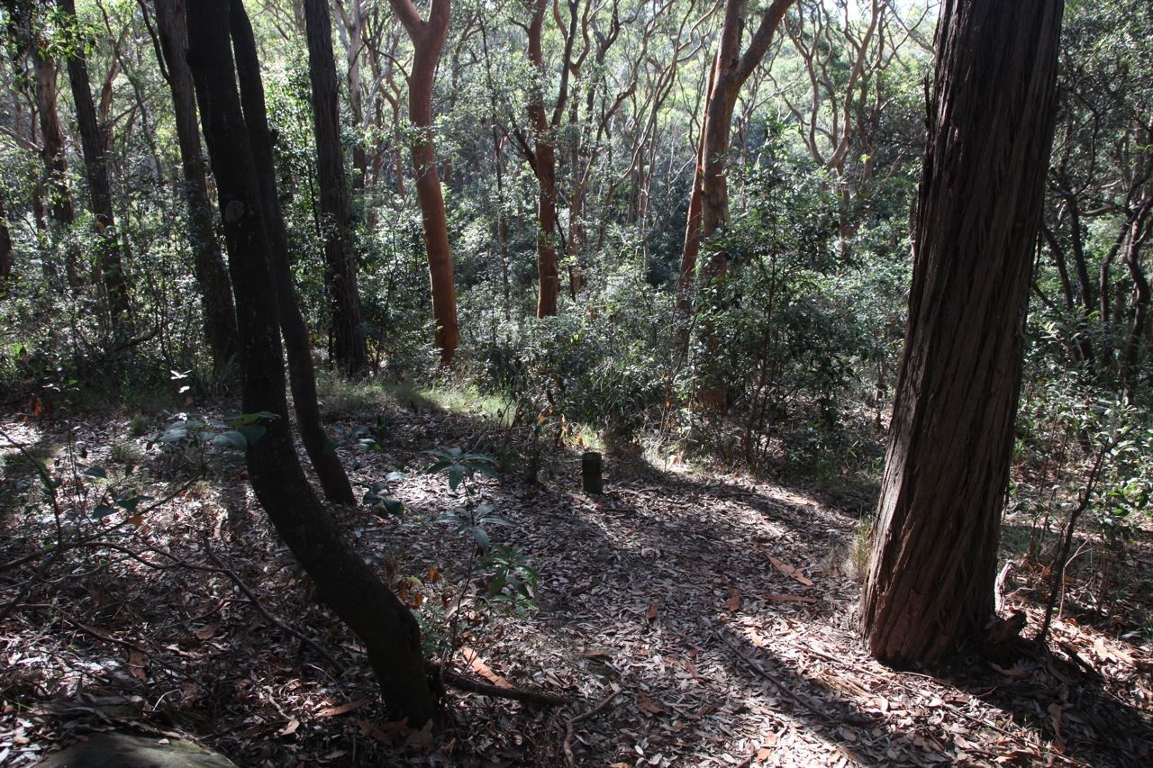 Locations Hub - Tennyson Park