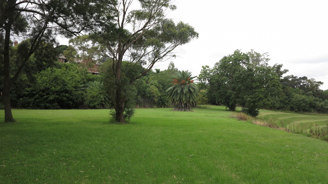 Locations Hub - Bedlam Bay Oval adjacent to Gladesville Hospital ...