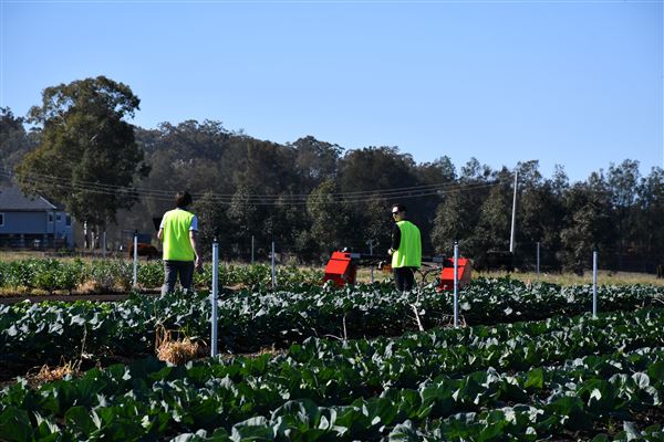 Locations Hub - Greater Sydney Local Land Services Demonstration Farm