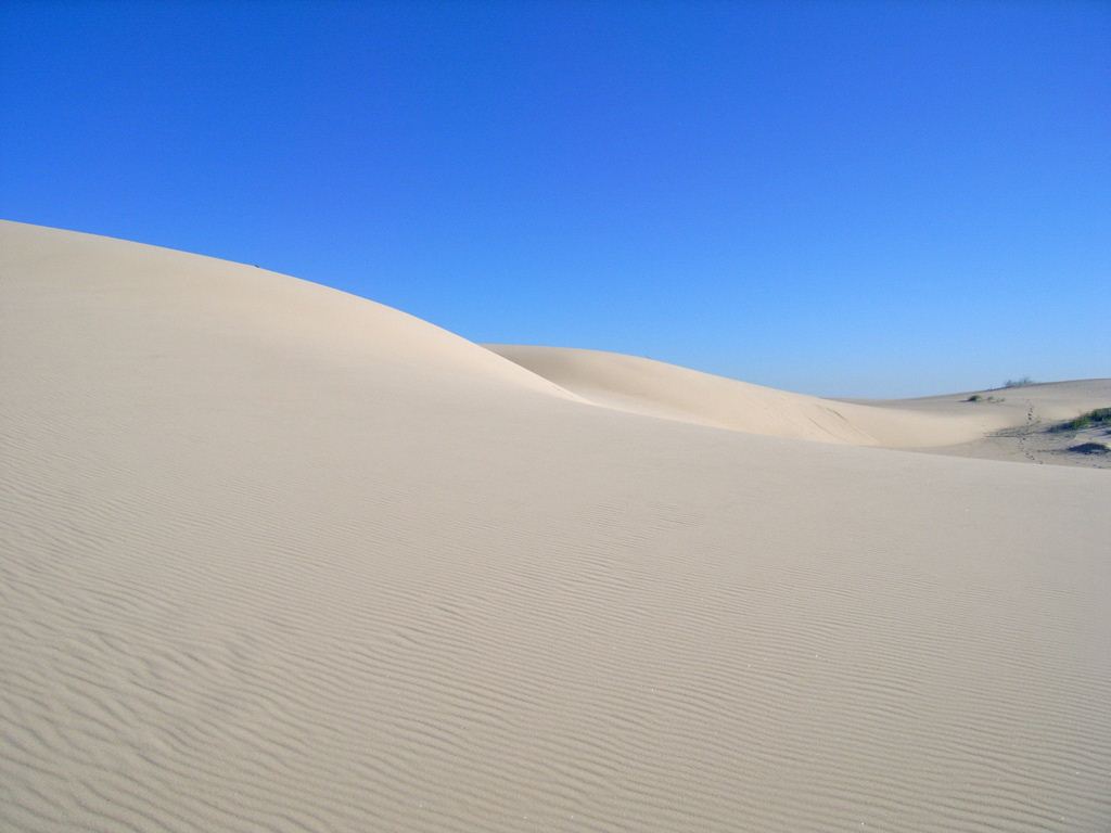 Locations Hub - Dark Point Dunes