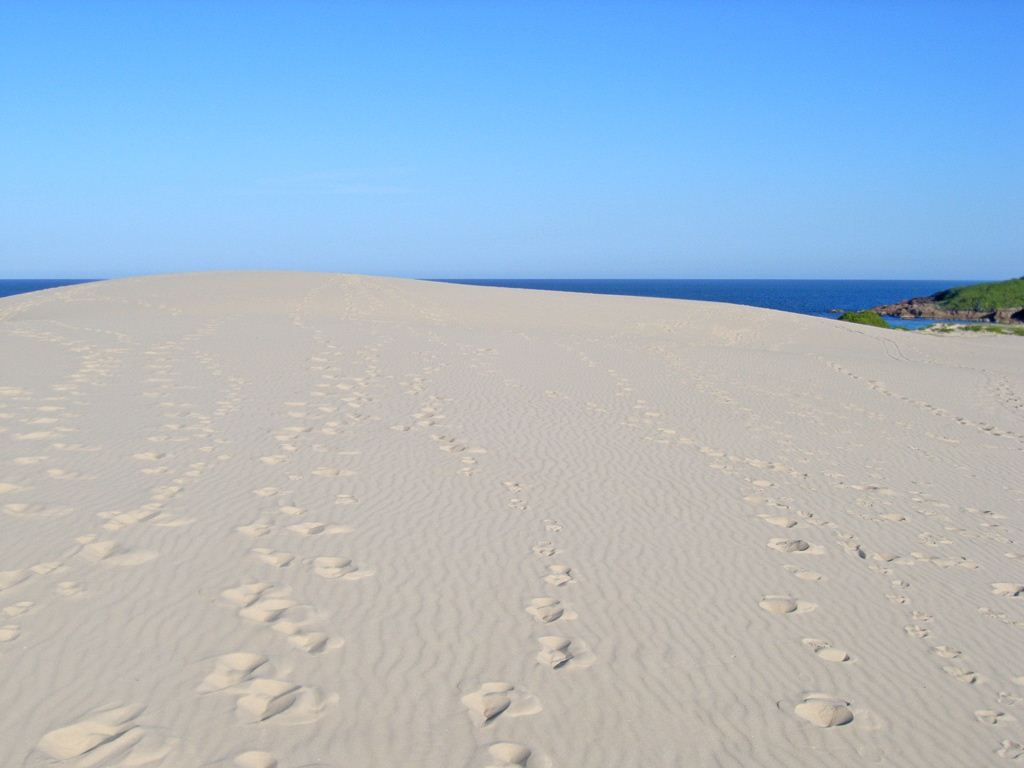 Locations Hub - Dark Point Dunes