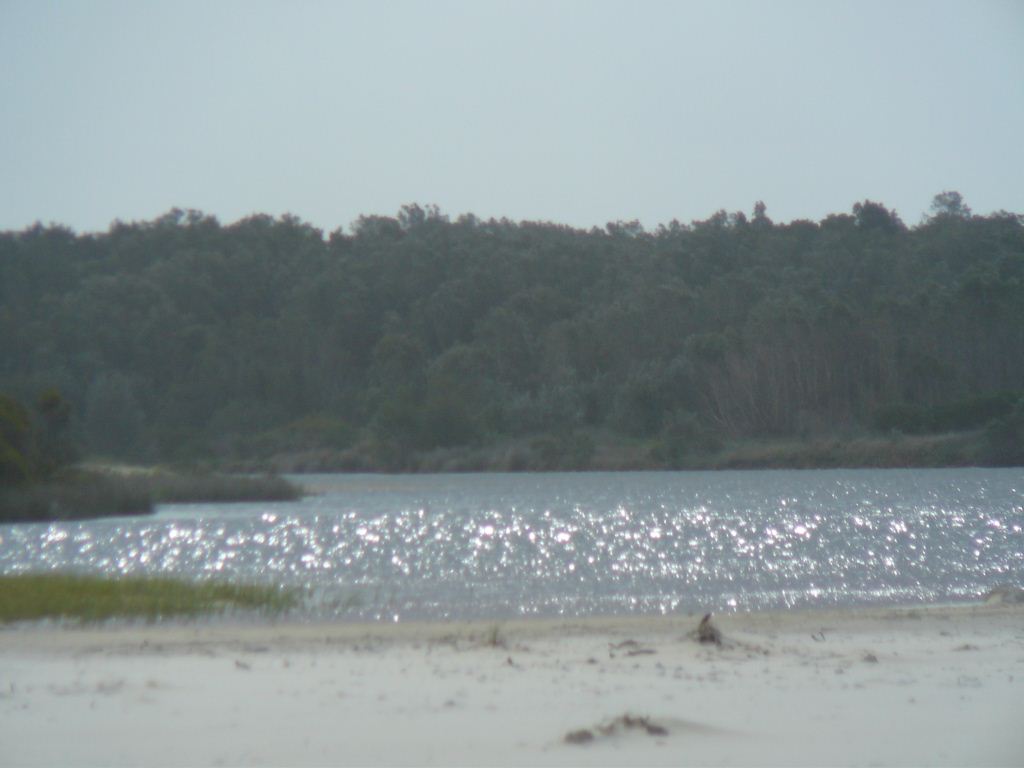 Locations Hub - Killick Beach & Sand Dunes - Hat Head National Park