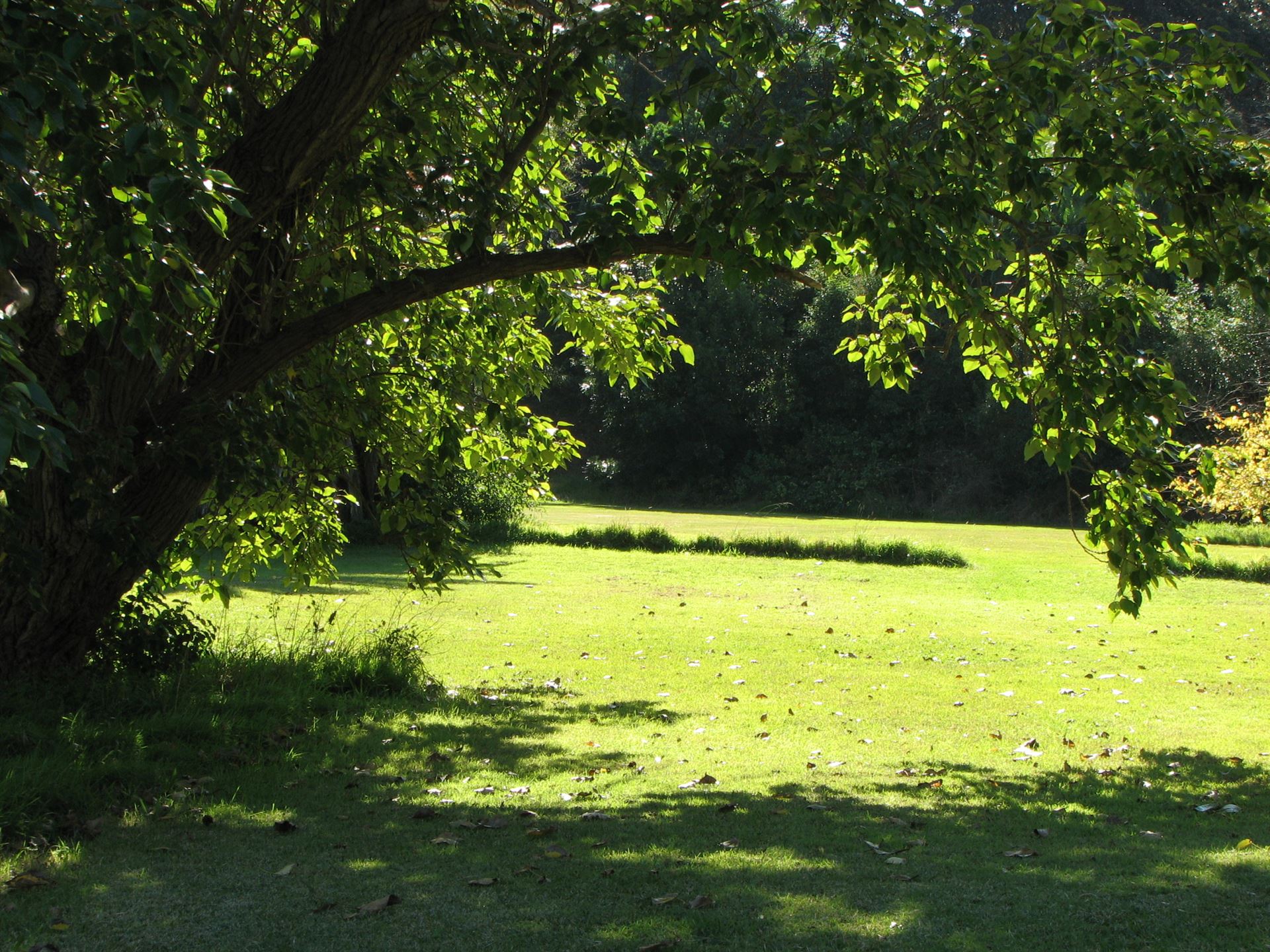 Locations Hub - Bedlam Bay Oval adjacent to Gladesville Hospital ...
