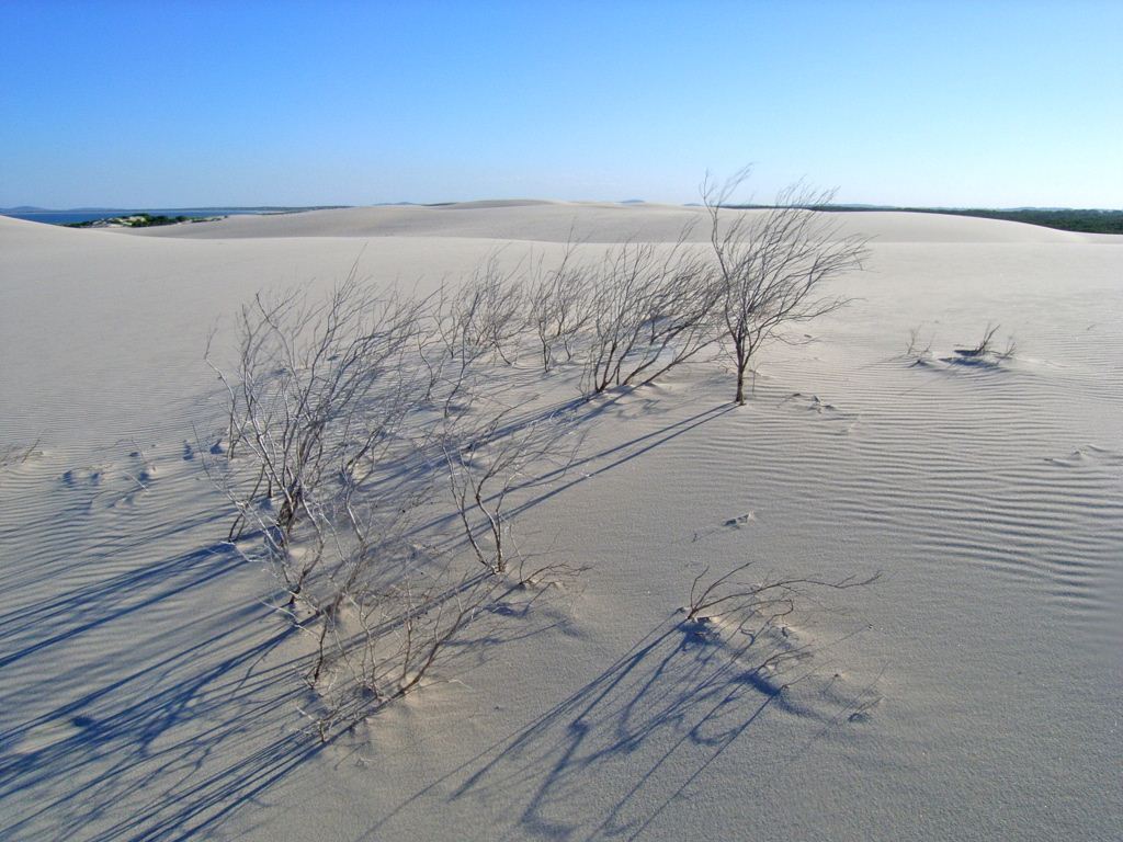Locations Hub - Dark Point Dunes