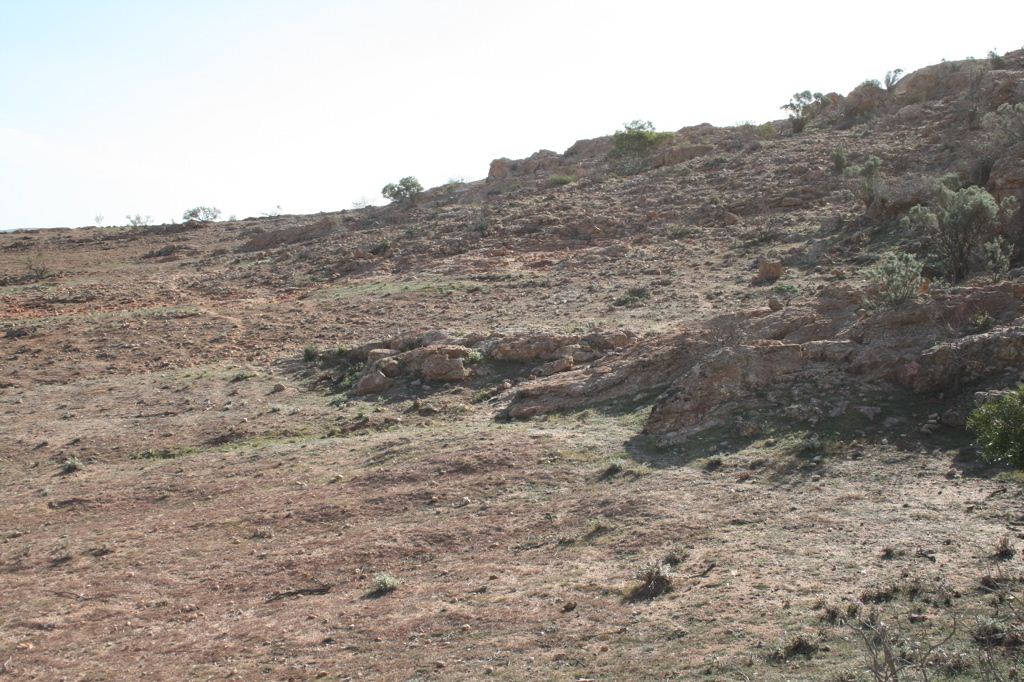 Locations Hub - Limestone Station