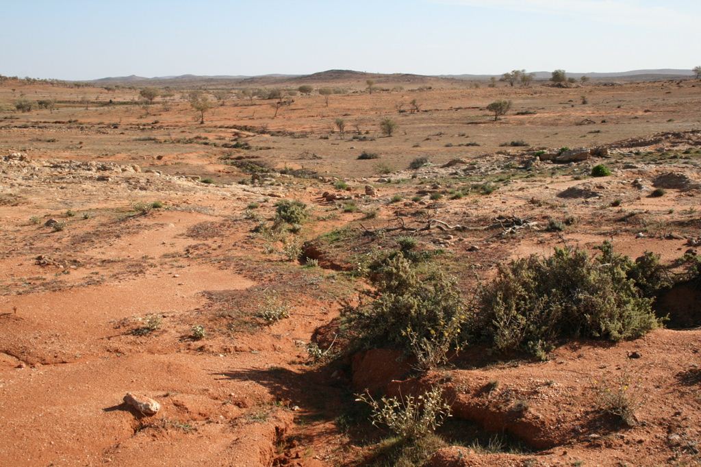 Locations Hub - Limestone Station