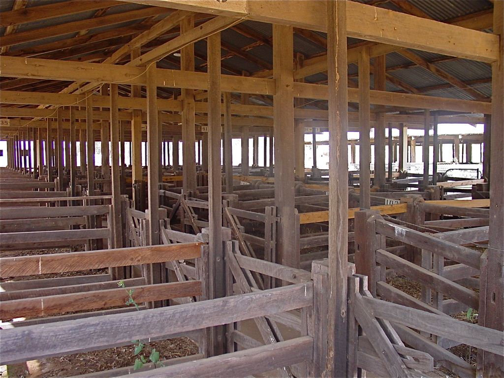 Locations Hub - Gilgandra Showground