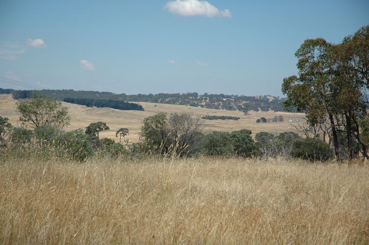 Locations Hub - St Sava Monastery Hall