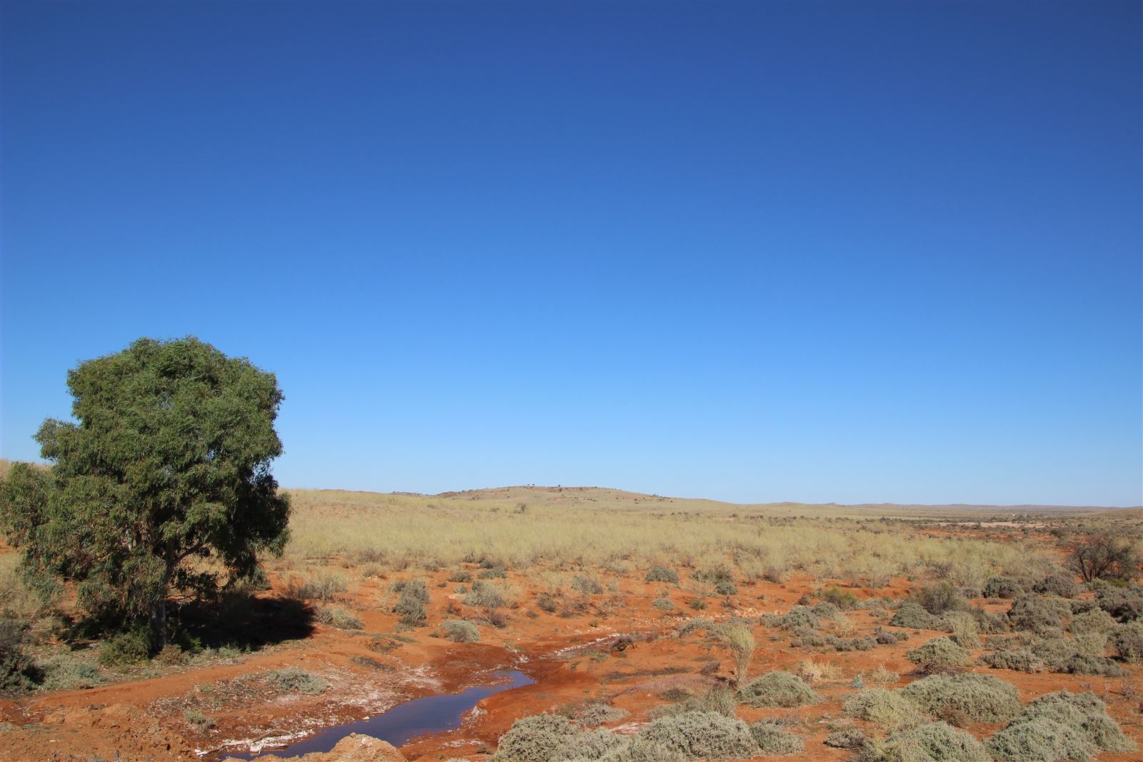 Locations Hub - Limestone Station
