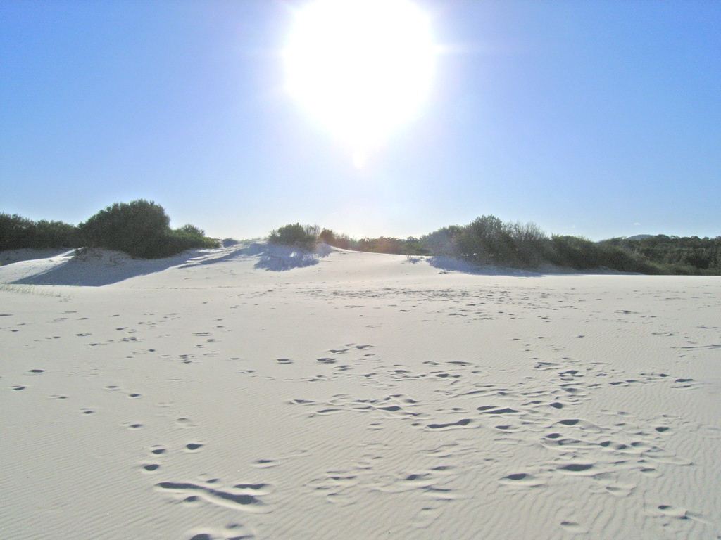 Locations Hub - Dark Point Dunes