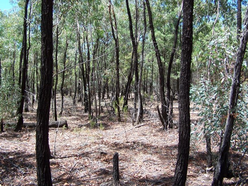Locations Hub - Goobang National Park