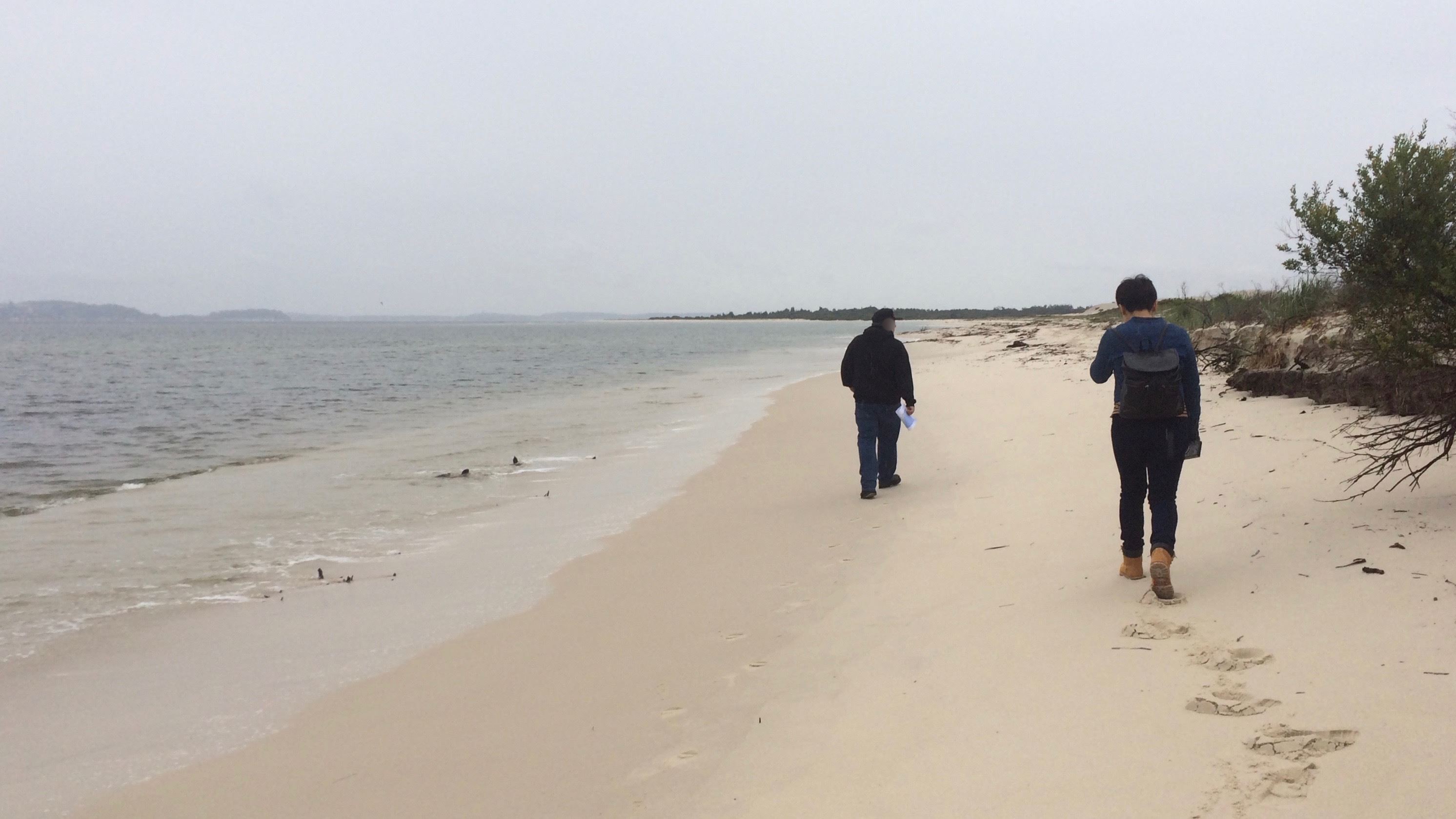 Locations Hub - Winda Woppa