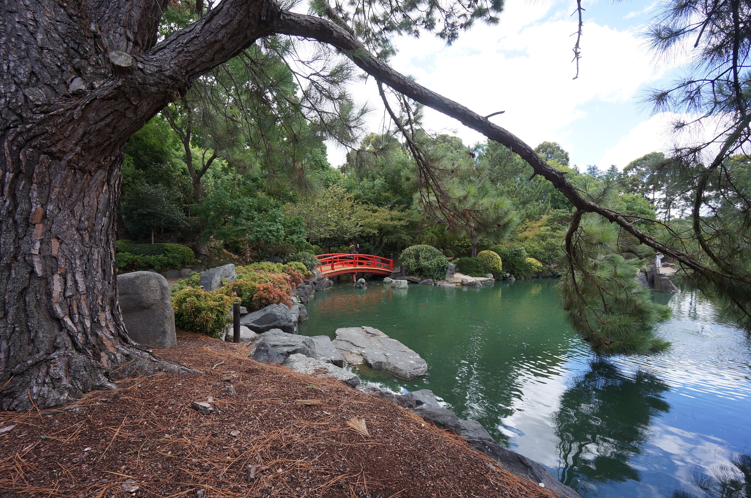Locations Hub - Auburn Botanic Gardens - Japanese Garden
