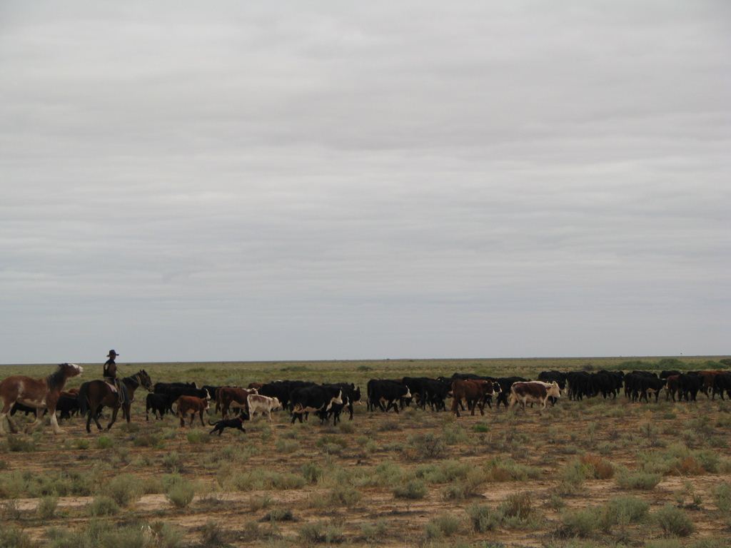 Locations Hub - Hay Plains