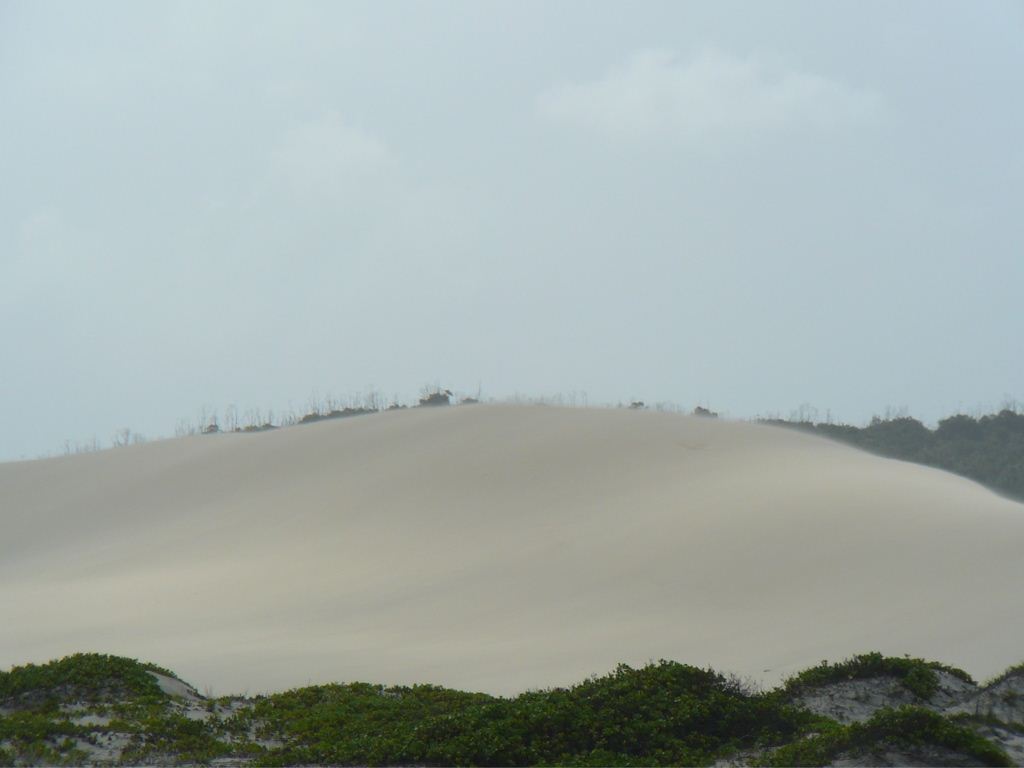 Locations Hub - Killick Beach & Sand Dunes - Hat Head National Park