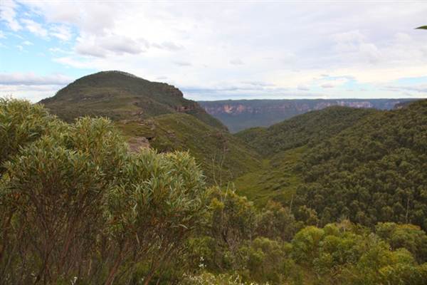 Locations Hub - Mt Banks Summit Walk & Picnic Area