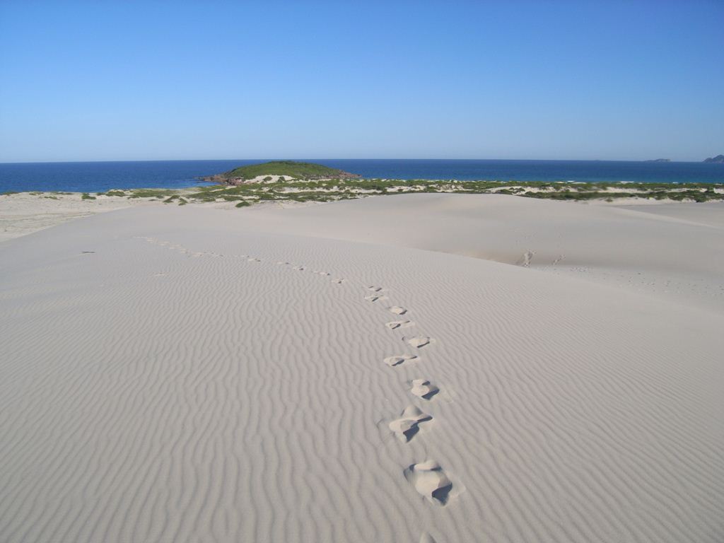 Locations Hub - Dark Point Dunes