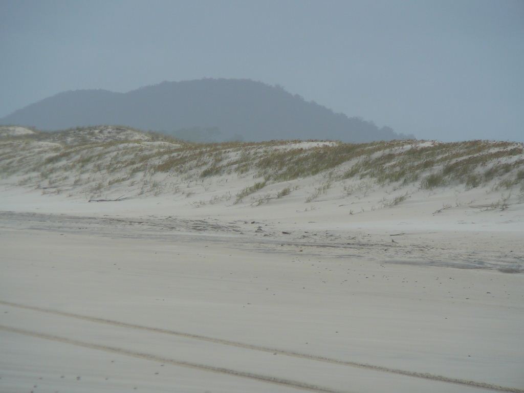 Locations Hub - Killick Beach & Sand Dunes - Hat Head National Park
