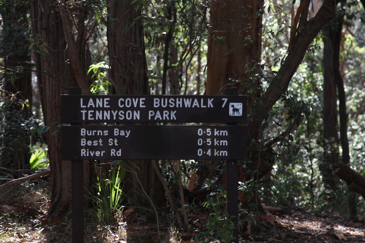 Locations Hub - Tennyson Park
